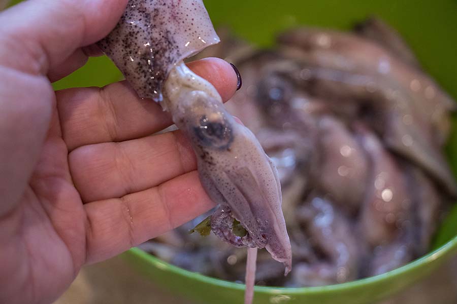 Squid Tutorial – the chef mimi blog