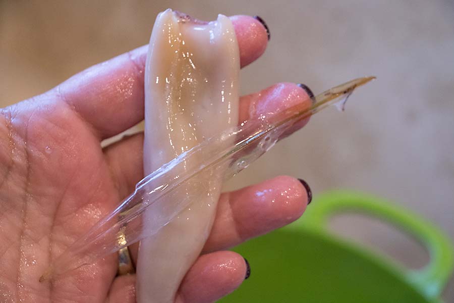 Squid Tutorial – the chef mimi blog