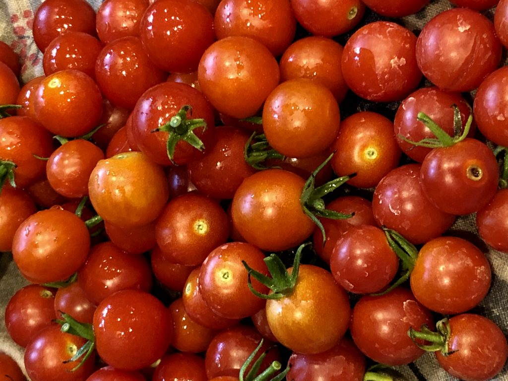 Mimi’s Tomato Pie – the chef mimi blog
