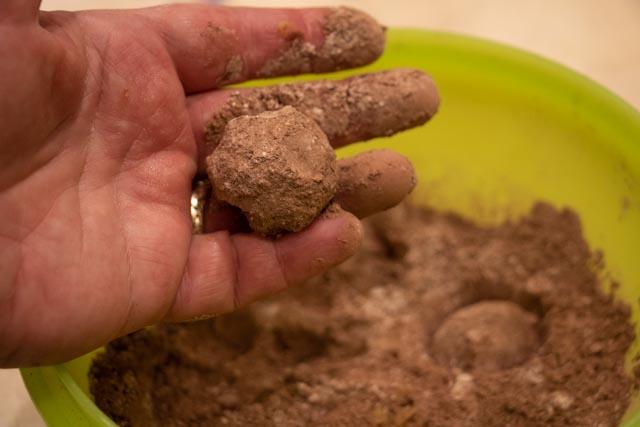 Florentine Truffle Balls – the chef mimi blog